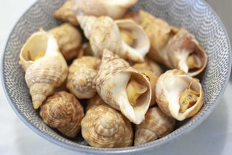 Bulots cuits : recette japonaise orginale